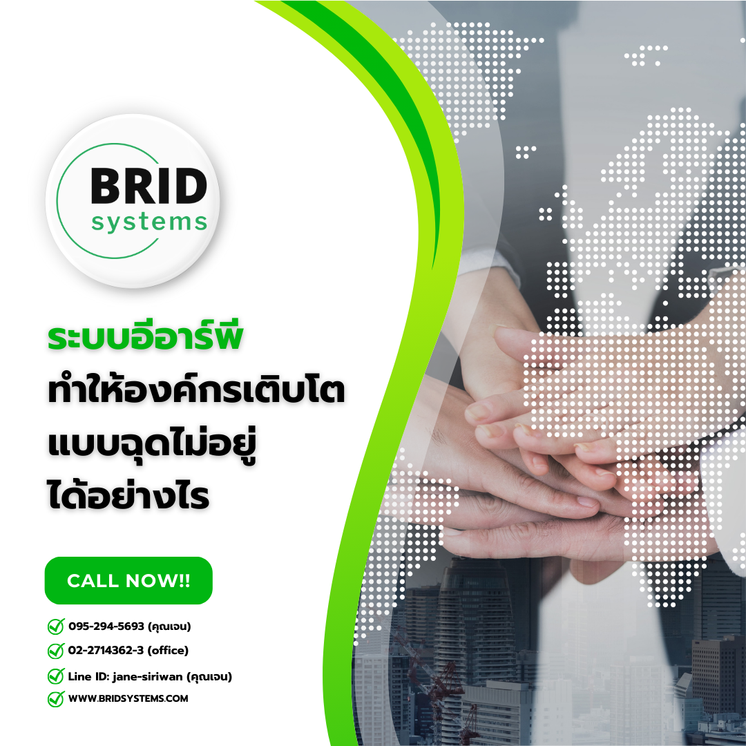 ระบบอีอาร์พีช่วยให้องค์กรเติบโตอย่างฉุดไม่อยู่ได้อย่างไร - BRID Systems