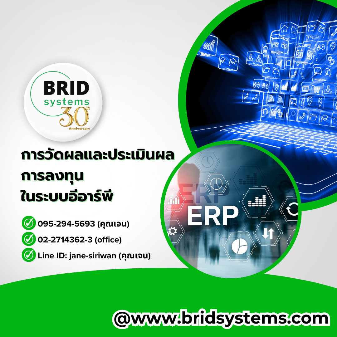 การวัดผลและประเมินผลการลงทุนในระบบอีอาร์พี - BRID Systems